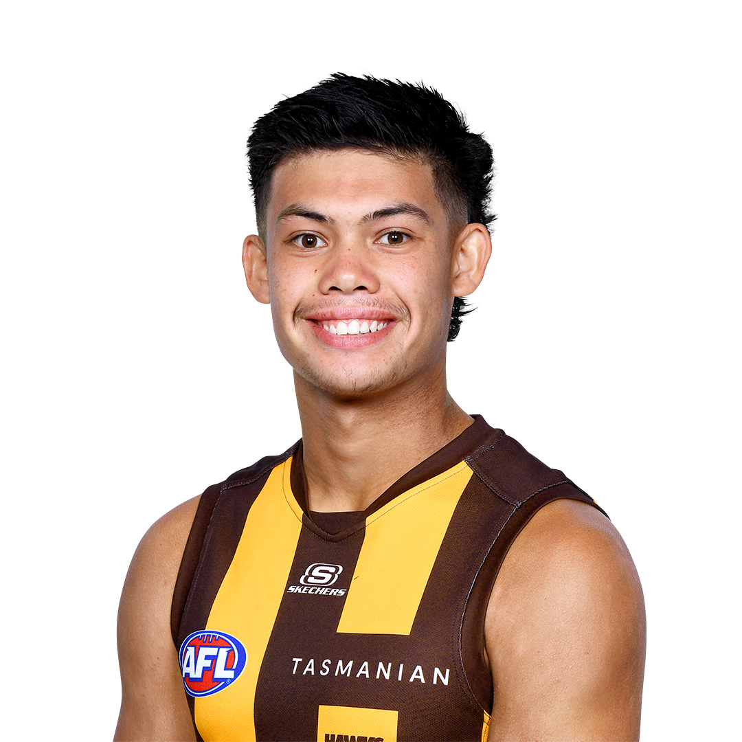 Hawthorn Hawks News - AFL 2024 - Zero Hanger